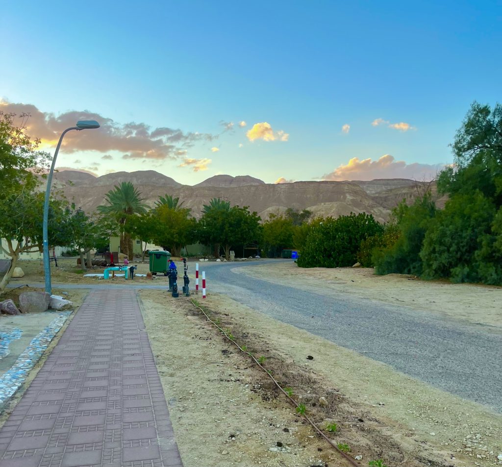 Returning to Israel – Gap Year Program